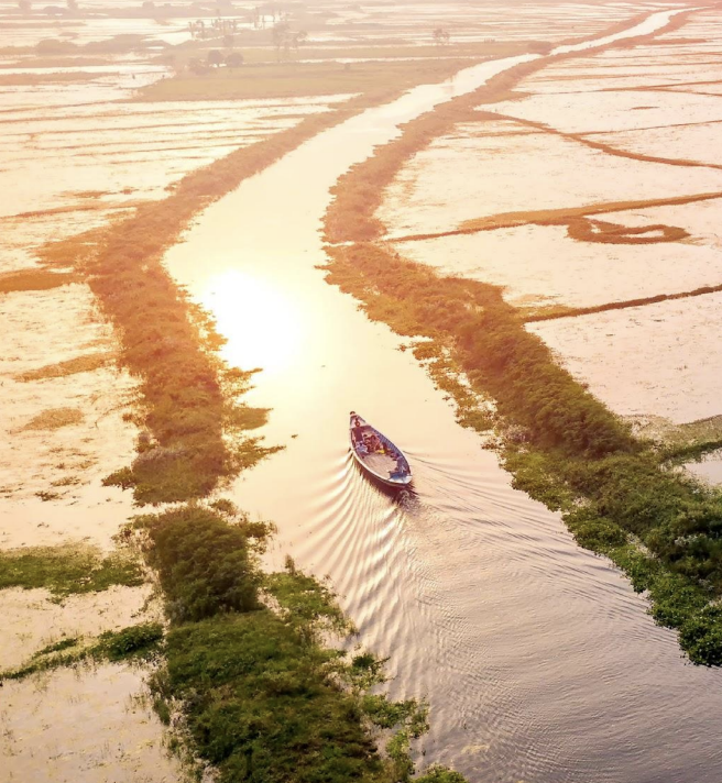 Exploring Nature's Solutions: The WUR Nature-based Future Challenge ...